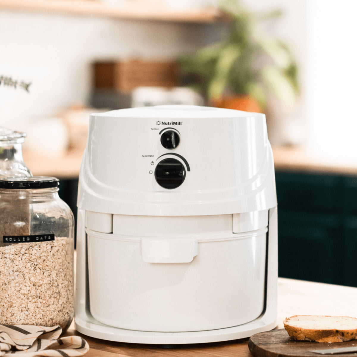 how to choose the right grain mill for your household